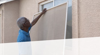 Types of Window Screens